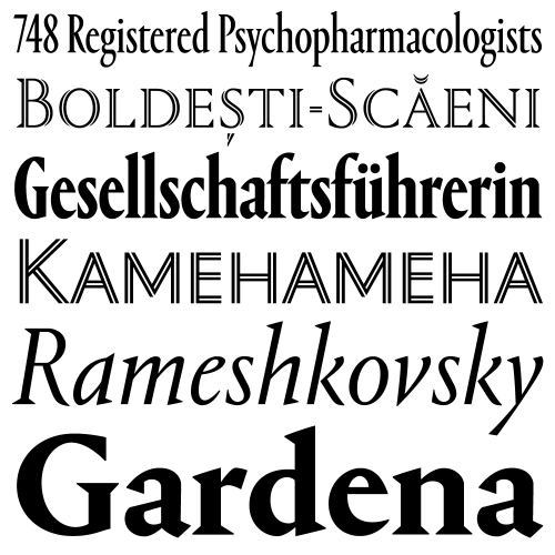 Portrait – Typographica